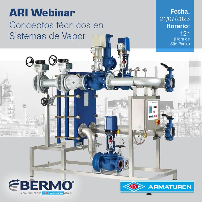 Produtos e Serviços para Vapor, Óleo, Água, Ar e Gases - BERMO