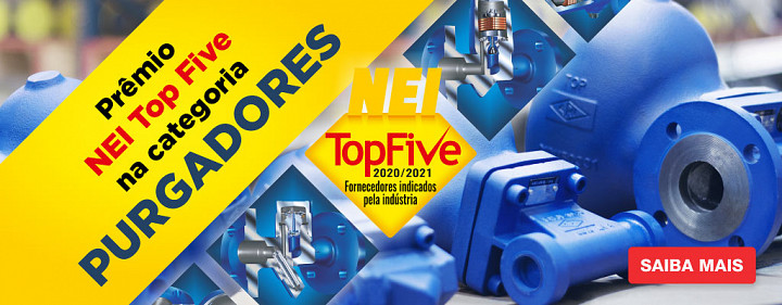 Produtos e Serviços para Vapor, Óleo, Água, Ar e Gases - BERMO